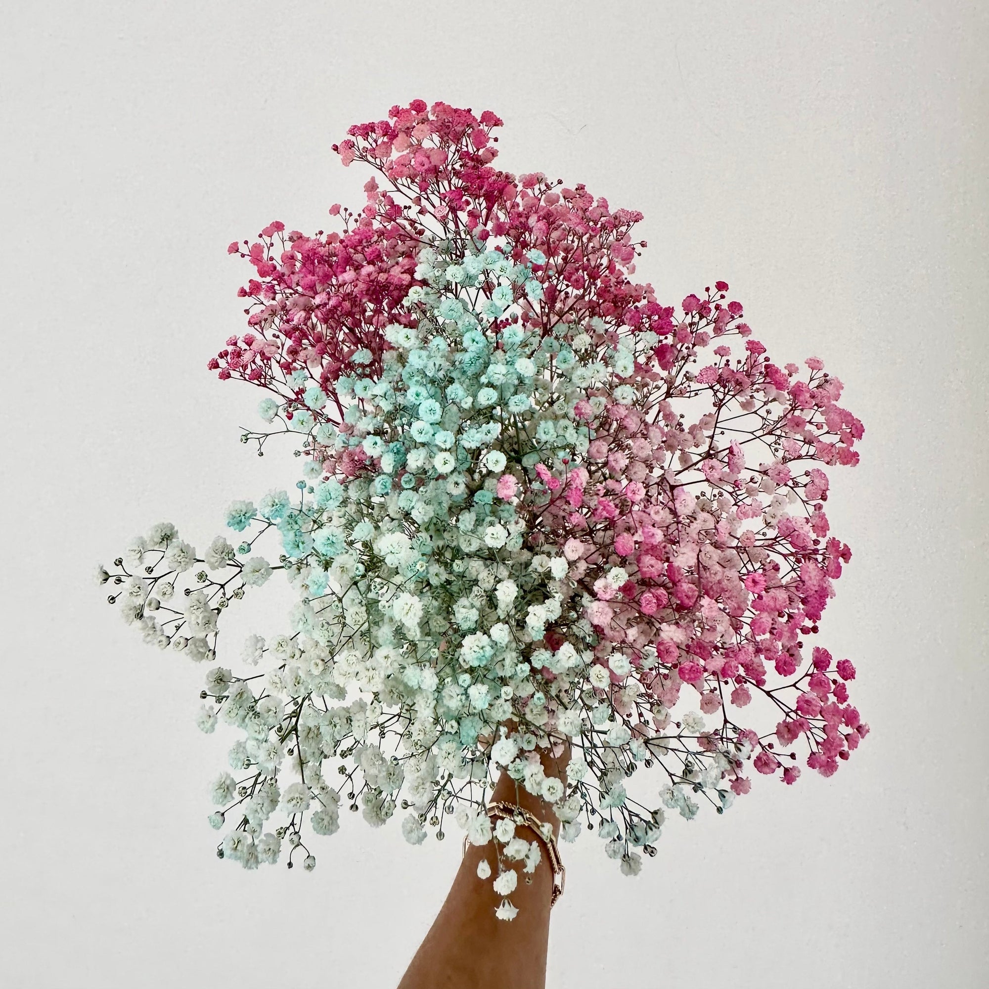 Send Baby's Breath Flowers With a Card | Letterbox Flowers | FlowerFix