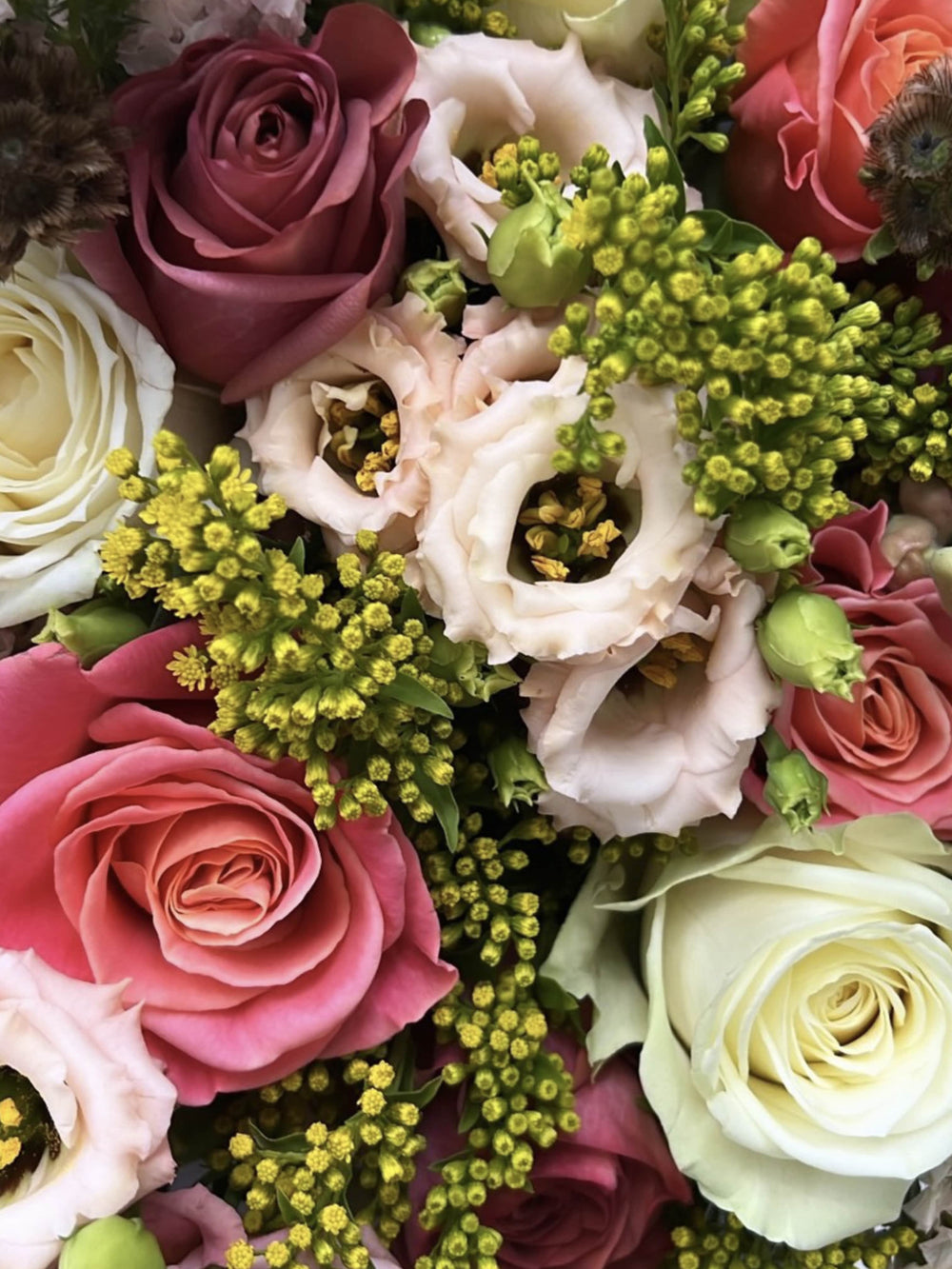 Carnations: Meaning, Colours and How to Order Them | FlowerFix UK