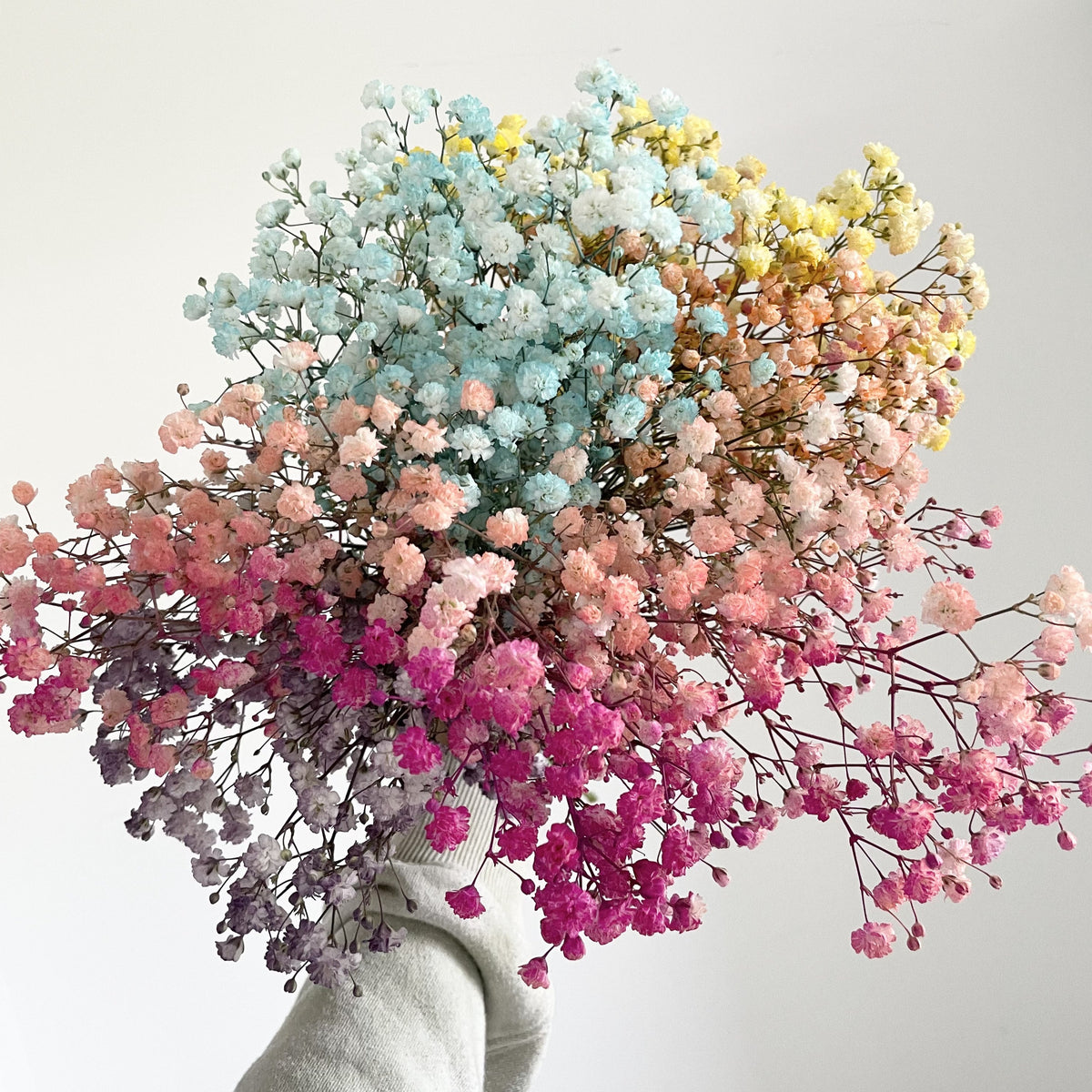 Send Baby's Breath Flowers With a Card | Letterbox Flowers | FlowerFix