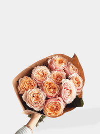 Luxury Roses by Post | Garden Rose Delivery | FlowerFix