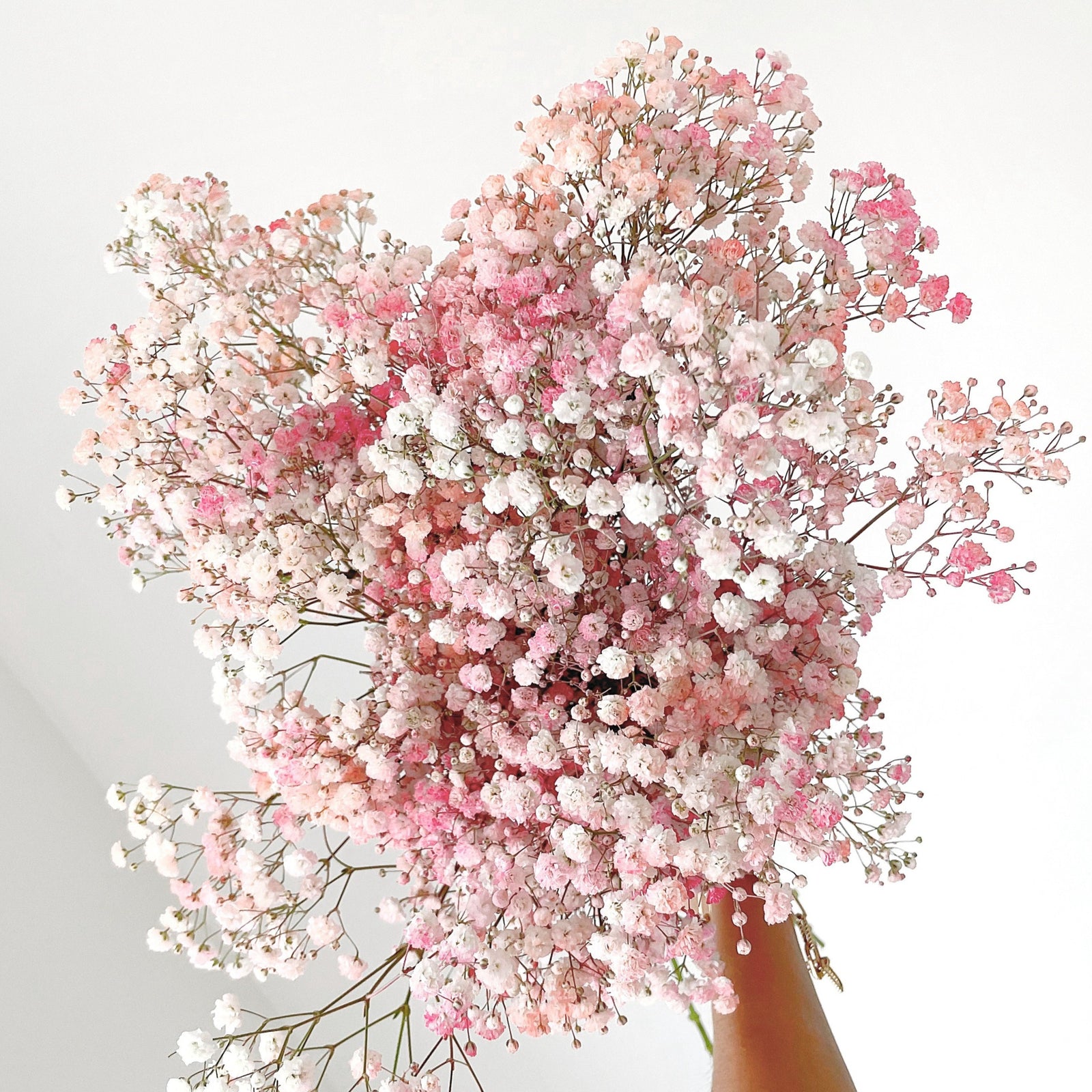 Send Baby's Breath Flowers With a Card | Letterbox Flowers | FlowerFix