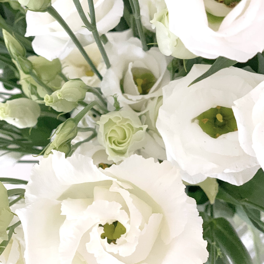 White Lisianthus Flowers - FlowerFix